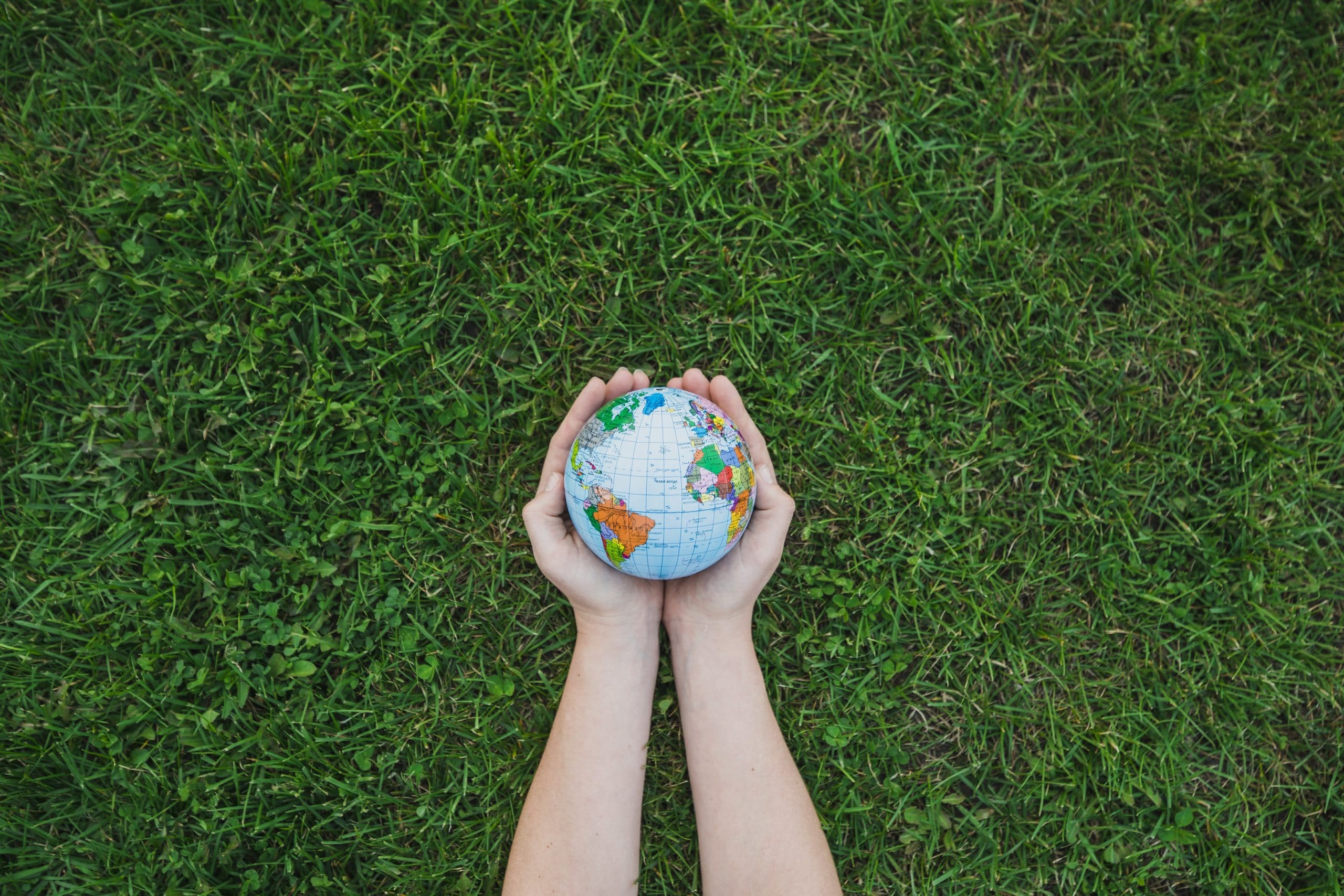 Justyn Branton and Stephen Castree become Climate Reality Leaders ...