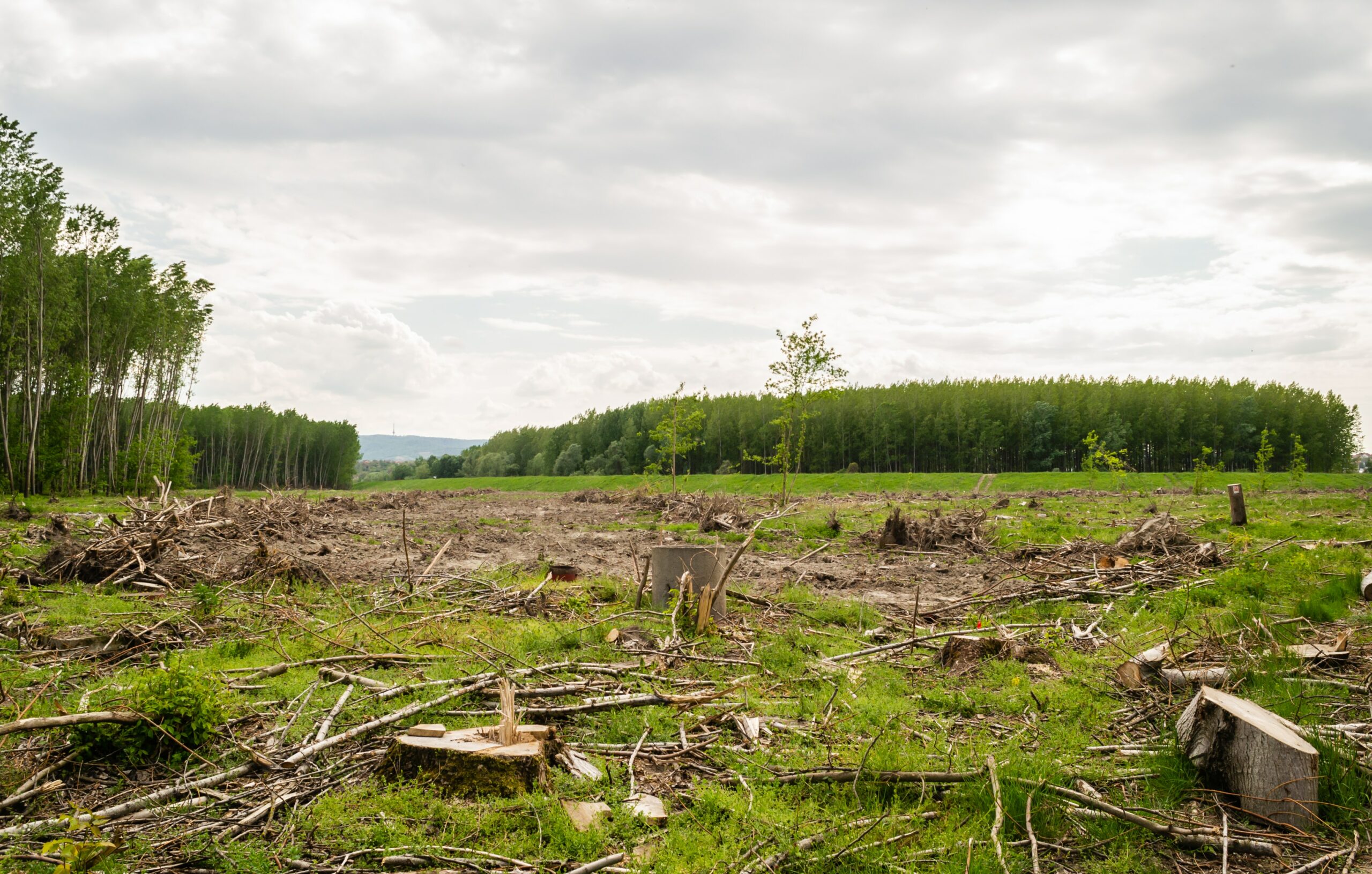 Shifting Away from Polluting Practices: How the Meat and Dairy Industry ...